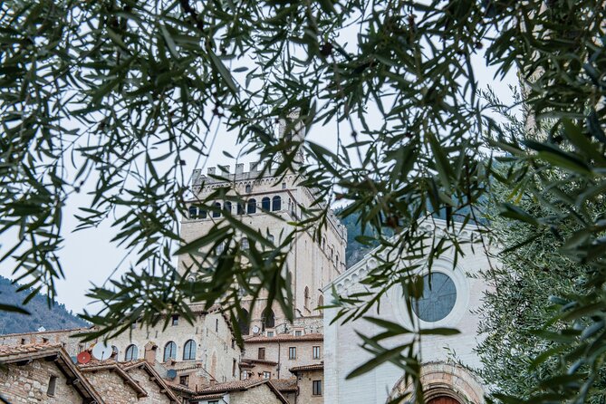 Gubbio: Private walking tour with official guide - Who this tour suits best