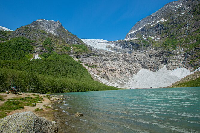 Guided Fjord & Glacier Tour - From BERGEN - Insights from Travelers