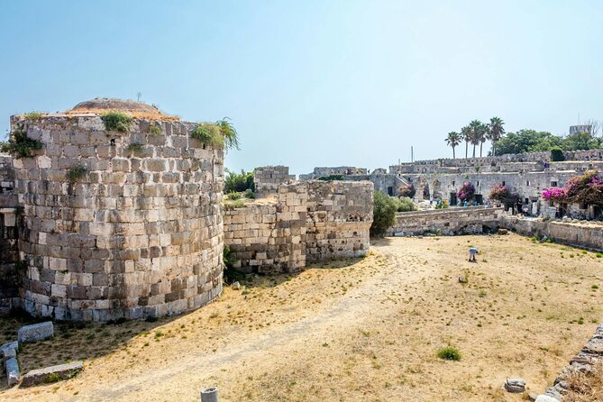 Guided Tour of Kos Town Asclepeion and Zia with Wine Tasting - The Sum Up: Who Is This Tour Best For?