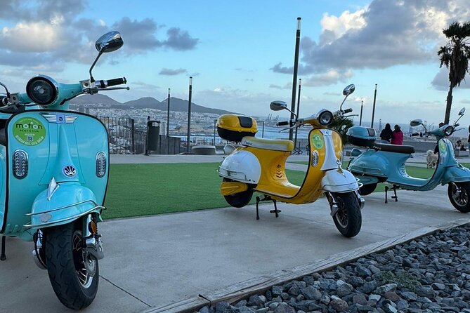 Guided Tour With Electric Moped - Return and End of Tour