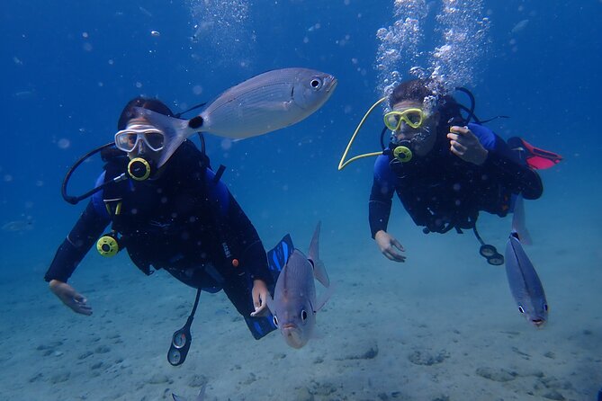 Half day boat diving experience for beginners in Kos Greece - Final Thoughts: Who is this tour best for?