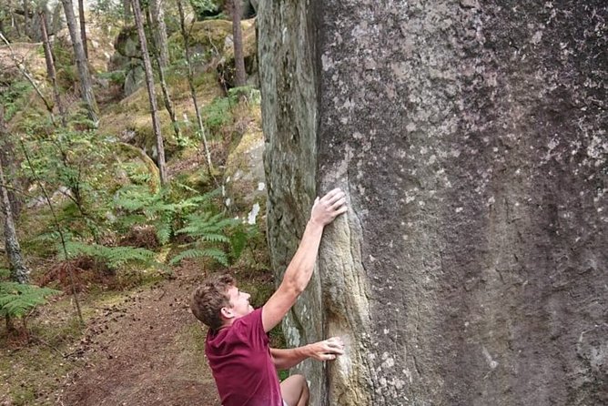 Half-Day Bouldering in Fontainebleau - Who Should Consider This Tour?