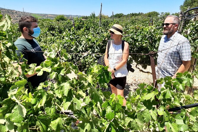 Heraklion wine tour & Cretan meze lunch - Wrapping It Up: Who Should Consider This Tour?