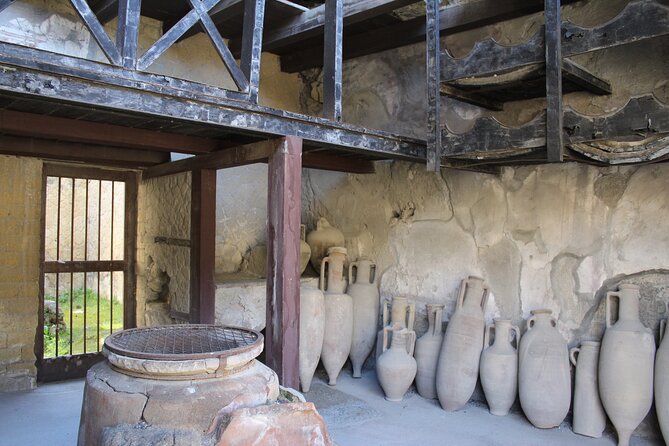 Herculaneum Private Guided Tour Led by a Local Top-rated Guide - All inclusive - The Sum Up