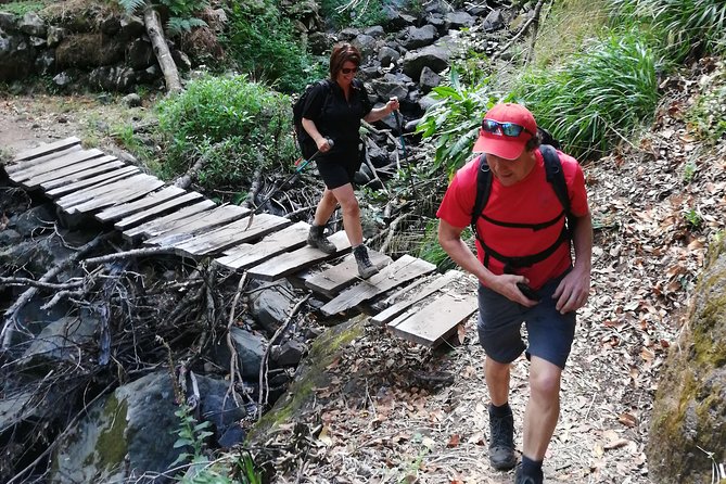 Hiking and Trekking tours in Madeira - The Sum Up