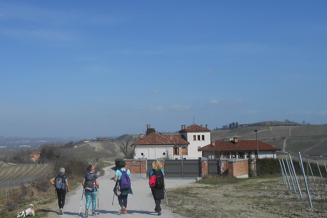 Hiking and wine tour starting from Alba - Who Will Love This Tour?