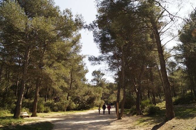 Hiking in the Calanques National Park from Marseille - Final Thoughts: Is This Tour Right for You?