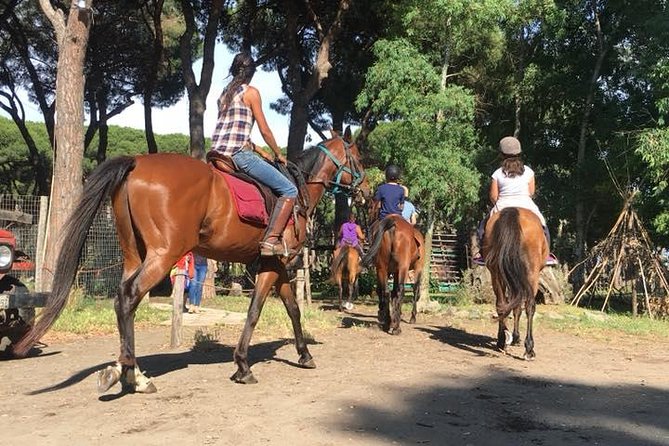 Horse Sanctuary & Trail Ride - FAQ