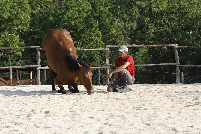 Horsemanship Experience - Authentic and Praised by Travelers