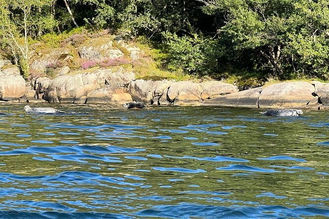 Inshore fishing in the Drangefjord - FAQ
