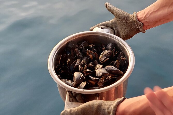 Kayaking and mussels tasting at Krka River estuary-private tours - Who Should Consider This Tour?