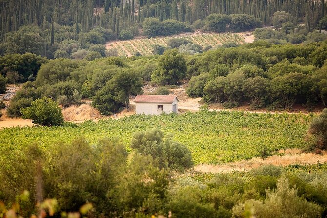 Kefalonia Wine Adventure in 3 Wineries With Tastings - The Sum Up: Who Should Consider This Tour?