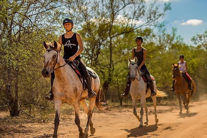 Kusadasi Horseback Riding - Review Highlights and Authentic Insights