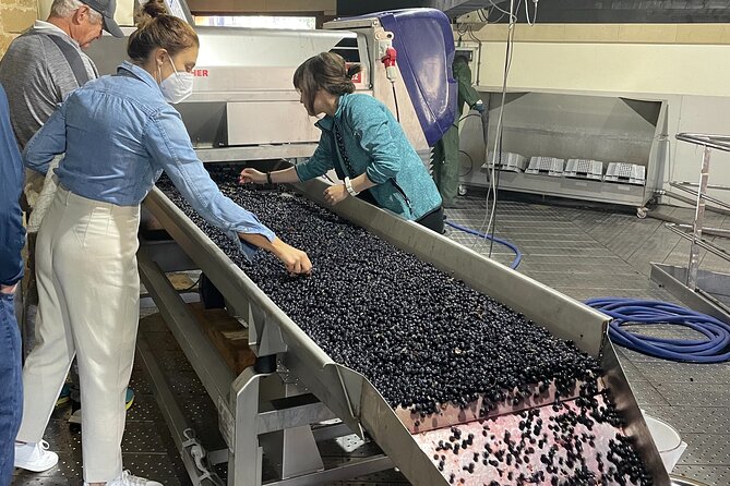 La Rioja Boutique Wine Tour & Charming Lunch (From Bilbao) - The Sum Up: Is It Worth It?