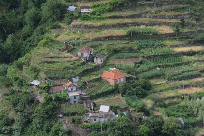 Local Farmers Market and 4WD Experience from Funchal - FAQ Section