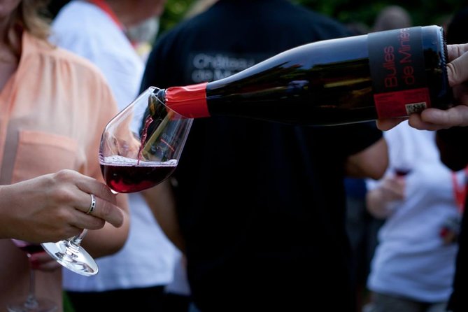 Loire Valley Wines Private Day Tour with Tastings from Tours or Amboise - Frequently Asked Questions