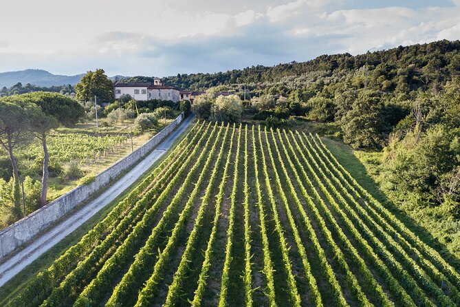 Lucca - Wine tasting at Tenuta Mareli - Why This Experience Is Worth Considering