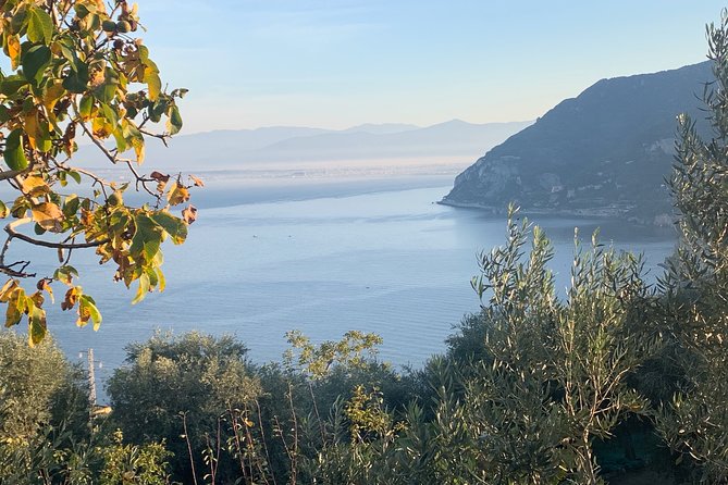 Luxury Tour Amalfi Coast by Van Mercedes - Final Thoughts
