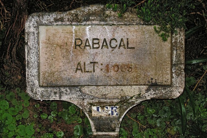 Madeira Levada Walk - Rabacal Lakes and Fountains - Wrapping It All Up