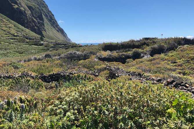 Madeira: Private Guided Half-Day Tour of Northwest Madeira - Final Thoughts