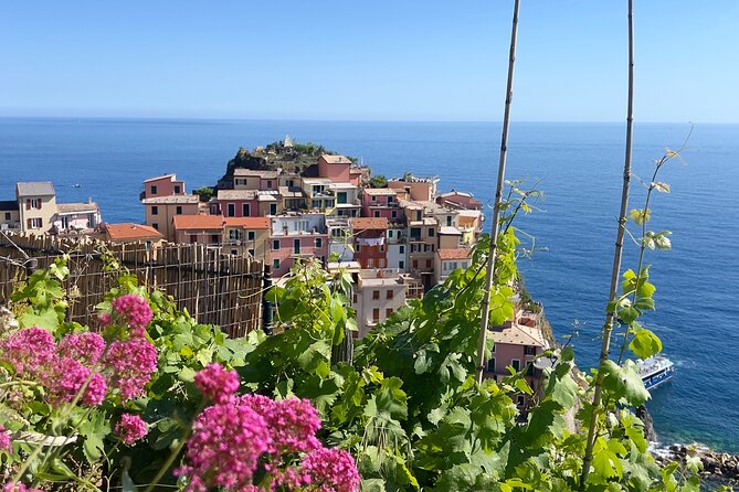 Manarola Wine Tasting Experience with Maria - FAQ