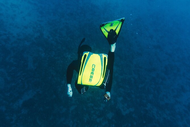Marine Biology & Snorkelling Experience in the Cinque Terre - Final Thoughts: Is It Worth It?