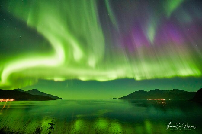 Minivan Northern Lights excursion (8 guests per minivan) - Price and Value: Is It Worth It?