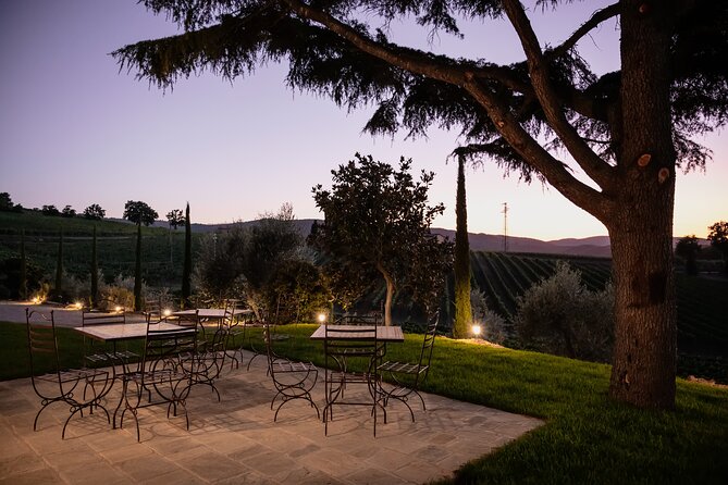 Montalcino: Cellar Tour, Brunello Tasting and Appetisers - Practical Tips for Booking and Visiting