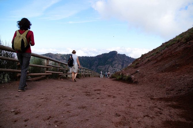 Mt Vesuvius and Pompeii Tour by Bus from Sorrento - Some Caveats and Considerations