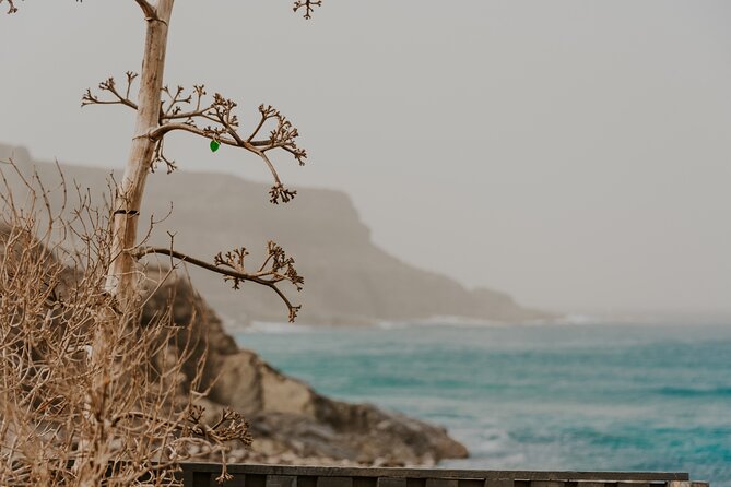 North Central Fuerteventura - Tour with photo shoot - FAQ
