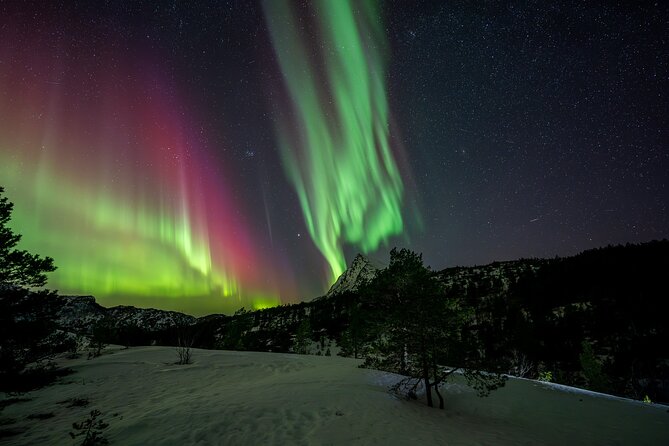 Northern Lights Tours Bodo Norway - Final Thoughts