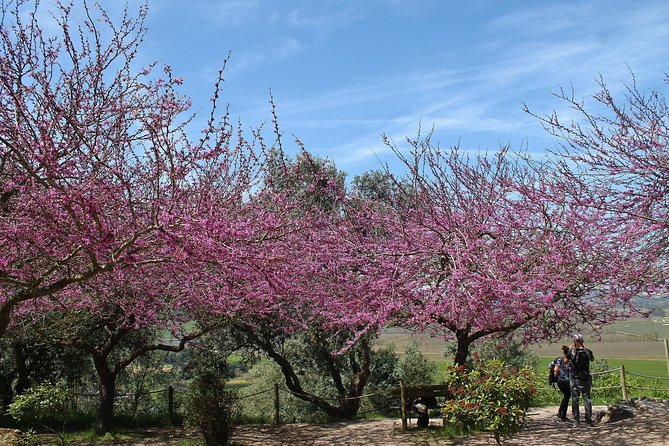 Óbidos historic village and Mafra Palace Private Tour - Frequently Asked Questions (FAQs)