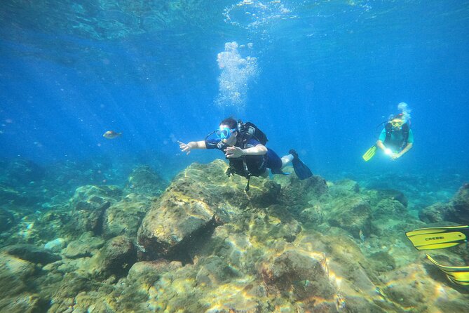 PADI Open Water Scuba Diving Certification Puerto Colon - Who Should Book This Experience?