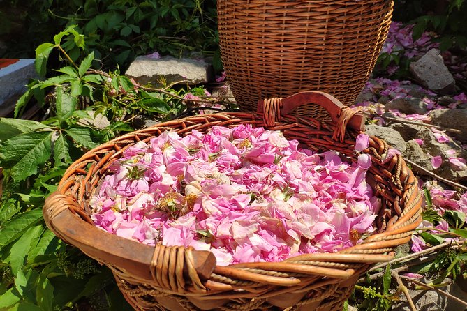 Picking Roses Workshop & Extracting Rose Oil in the Rose Valley - Final Thoughts