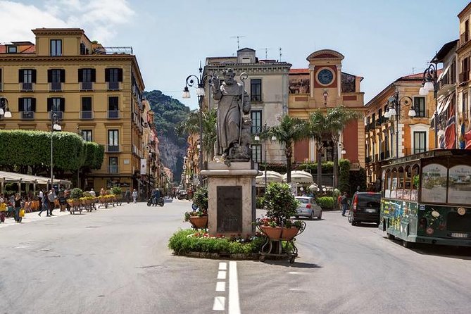 Pompeii, Sorrento and Amalfi Coast (Driver Only/Self Touring) - Authentic Experiences and Feedback