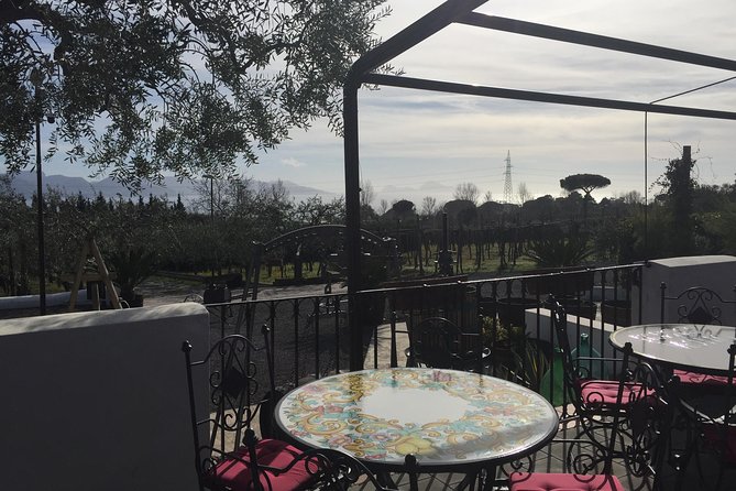 Pompeii-Wine tasting tour from Sorrento, licensed guide included - A Well-Balanced Day for Curious Travelers