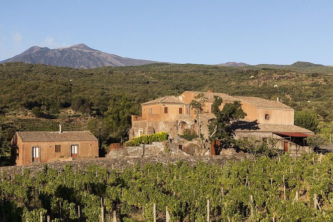 Private 7-Hour Tour of Three Etna Wineries with Tasting from Syracuse - Frequently Asked Questions