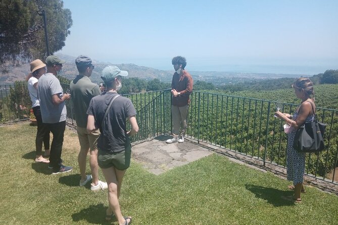 Private 8-Hour Tour of Four Etna Wineries with Tasting - Final Summary