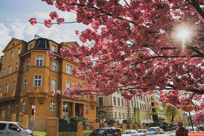 Private Berlin Coffee Tour with Friendly Local Guide - FAQ