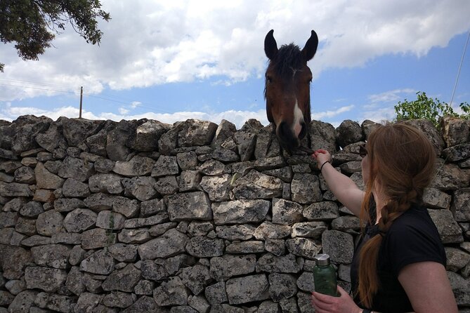 Private Bike Tour with Olive Oil Tasting - FAQ