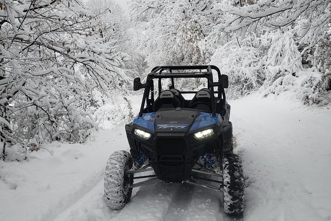 Private Buggy Experience All Seasons in Pamporovo - The Sum Up: The Best for Active Explorers and Nature Fans