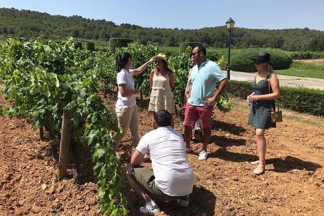Private Day Trip from Barcelona to Montserrat - Transport and Timing