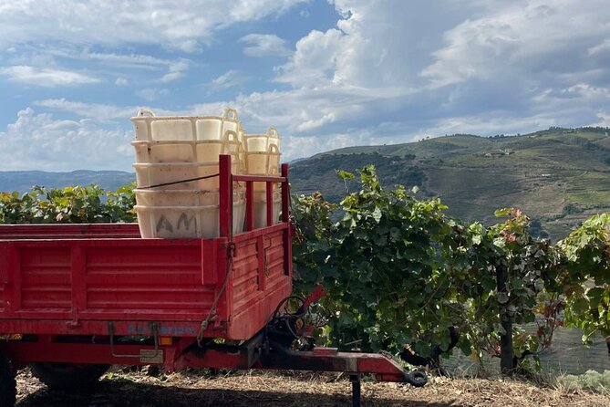 Private Douro 4x4 Adventure from Porto - Summing Up