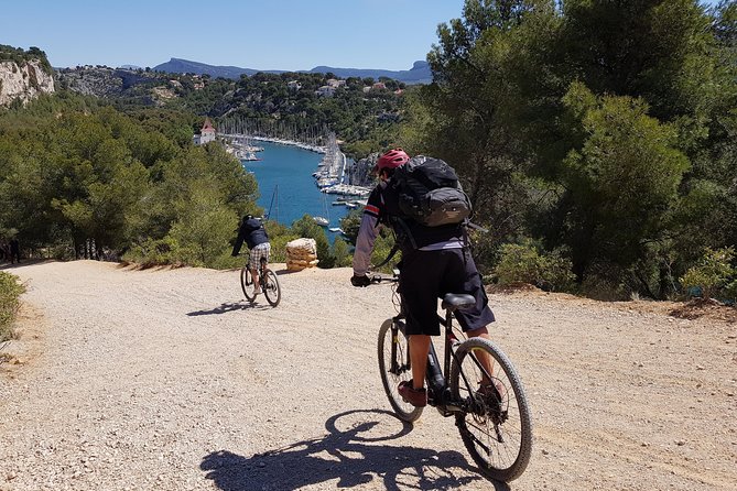 Private ebike tour to Calanques or city - Who Should Book This Tour?