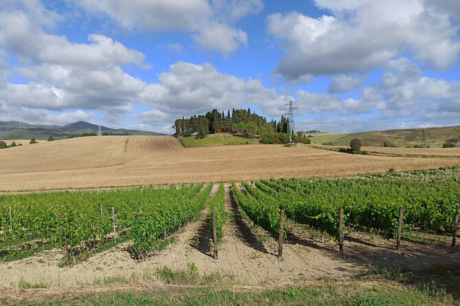PRIVATE EXCURSION: Visit Siena & Chianti with lunch and tastings - The Value and Practicalities