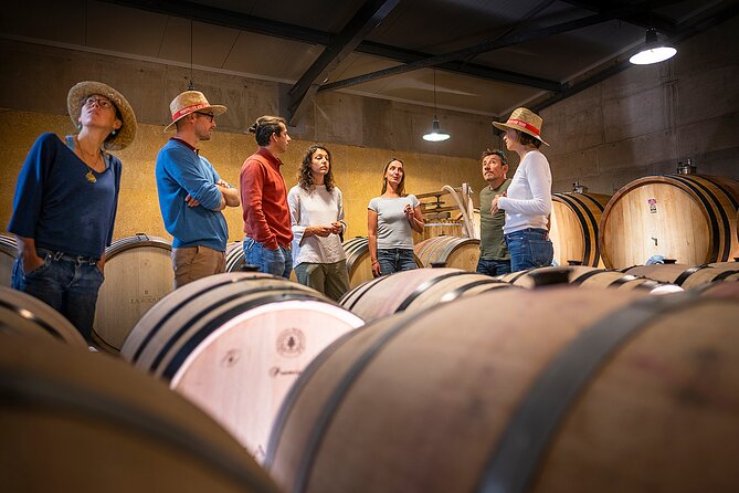 Private Full Day Pic Saint Loup Wine and Olive Tour with Lunch from Montpellier - The Sum Up: Who Is This Tour Best For?