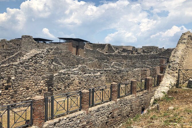 Private Full Day Tour Ruins of Pompei and Wine Tasting Experience - The Sum Up: Who Will Love This Tour?