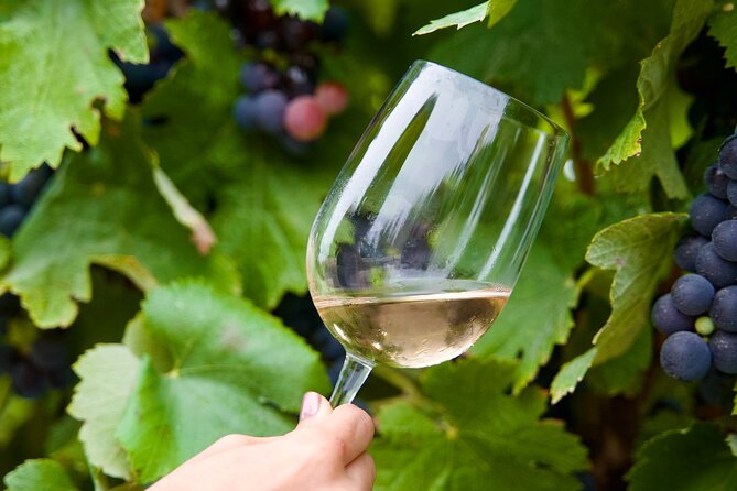 Private Full Day Wine Tasting Tour from Lisbon to Setubal - FAQ