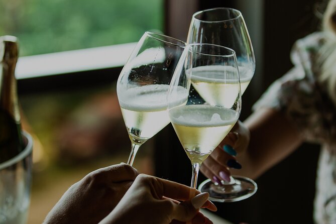 Private hedonistic food and wine experience from Zagreb - Who Should Book This Tour?