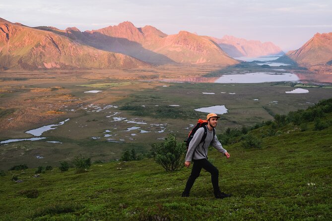 Private Midnight Tour To Gimsøya - What Do Travelers Say?